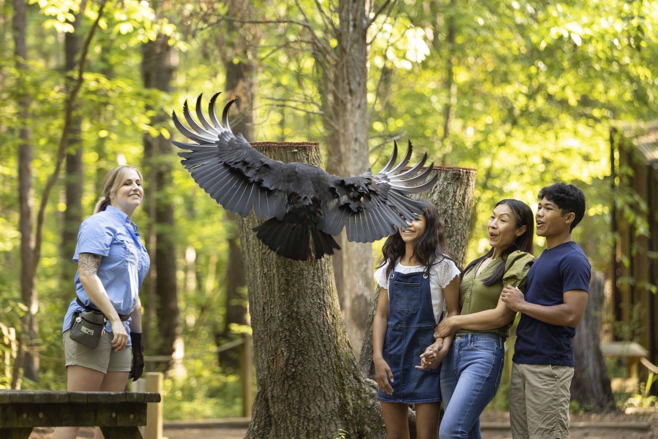 Organizational Strengthening at Carolina Raptor Center